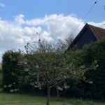 Visiting Corner Farm In The Beautiful Waveney Valley | Corner Farm Holidays